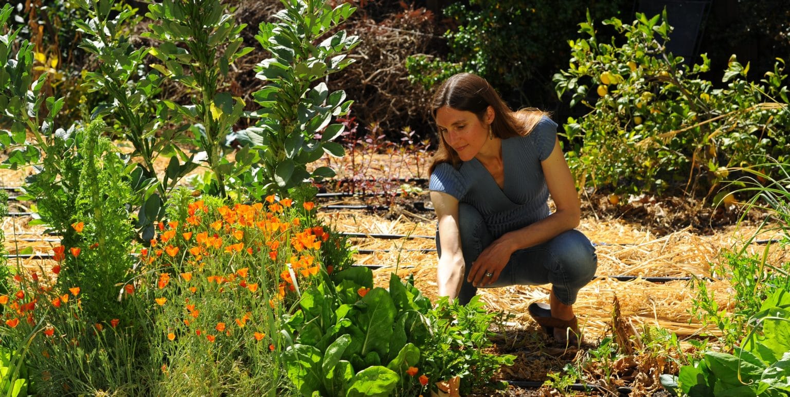 Vegan Christmas dinner recipes - Wicked Leeks