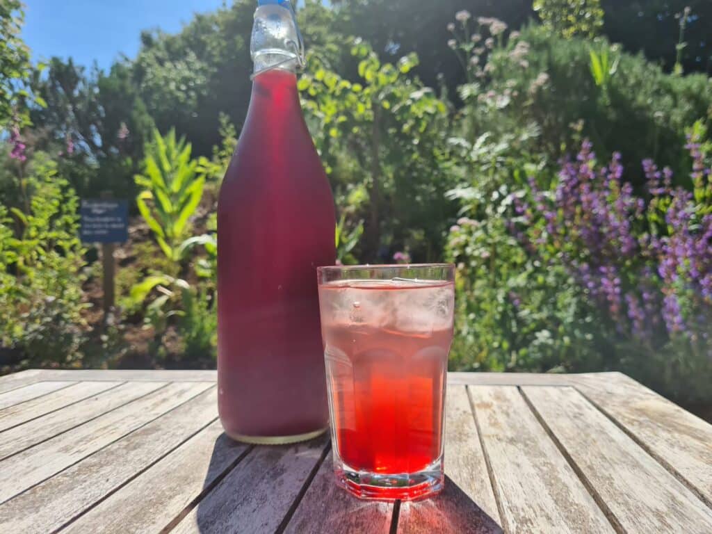 Make your own summer drinks - Wicked Leeks
