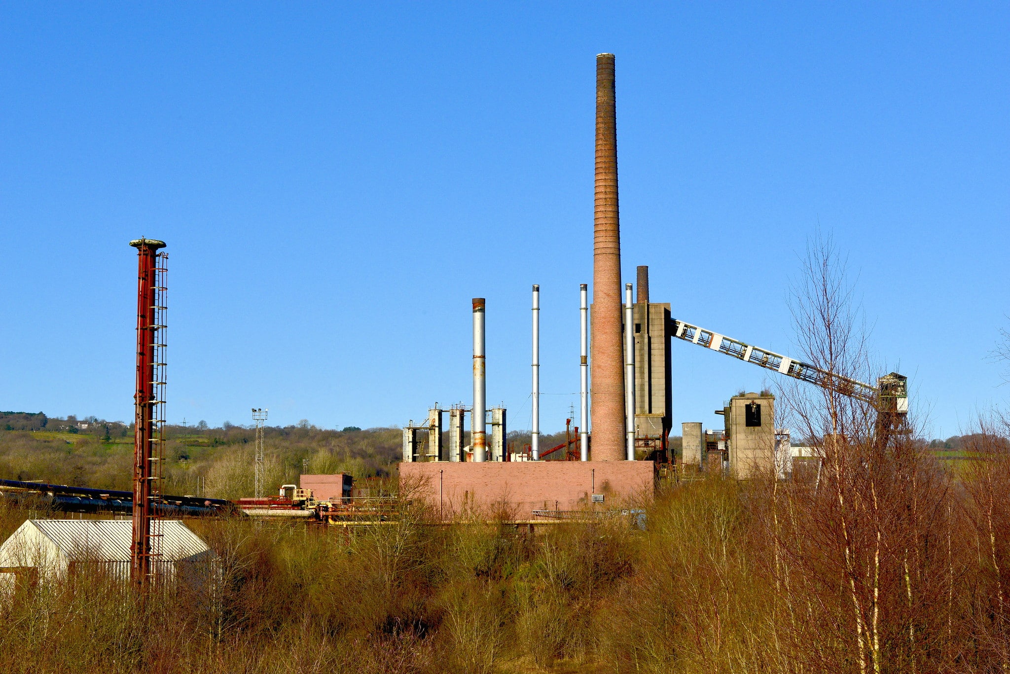 Behind the counter - Wicked Leeks