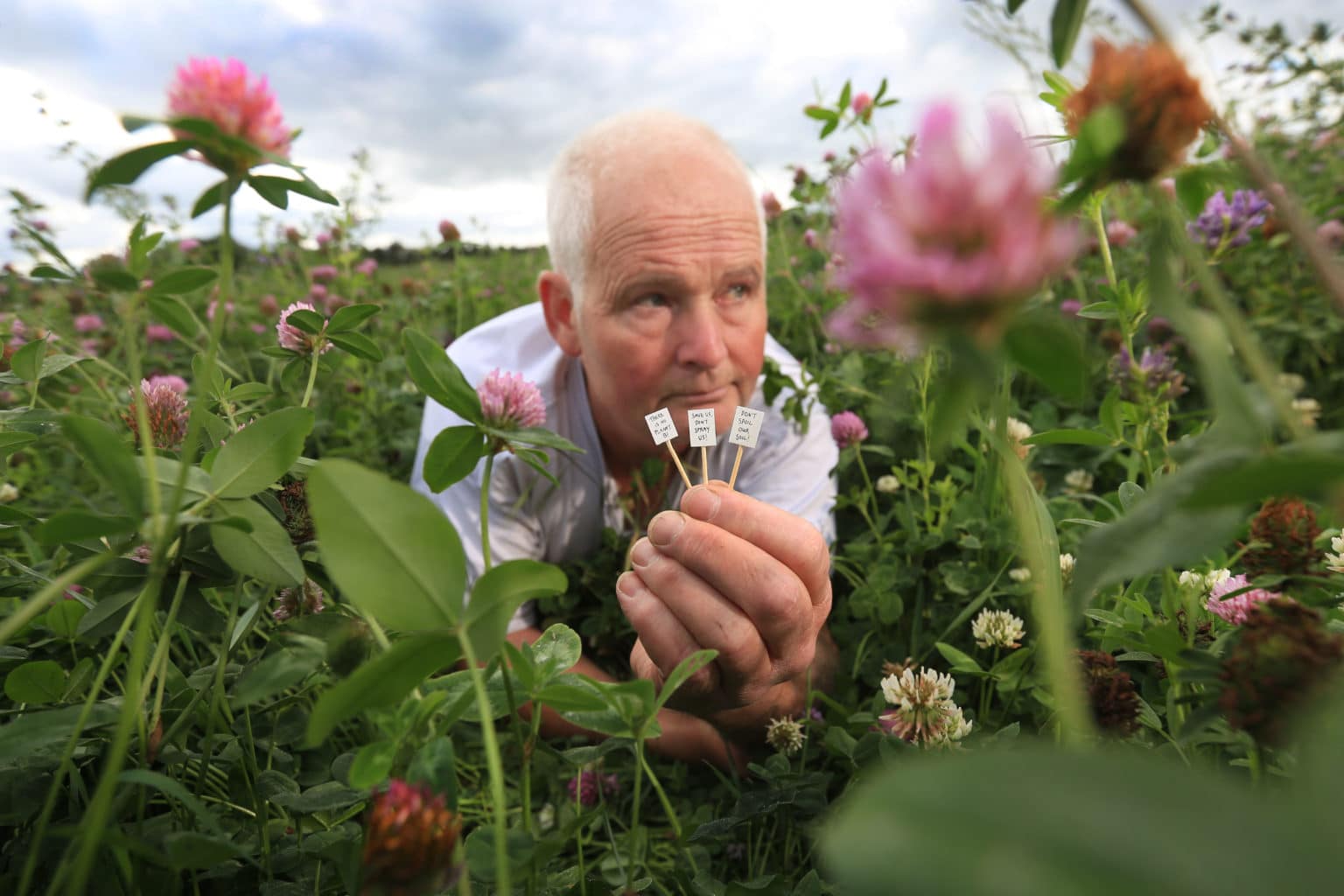 Nature ‘would vote for organic’ - Wicked Leeks