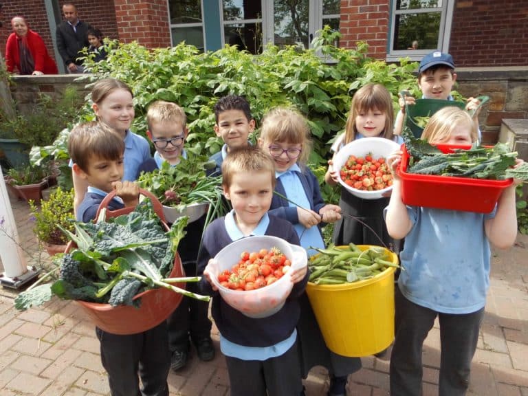 Back to school: Food growing on the curriculum - Wicked Leeks