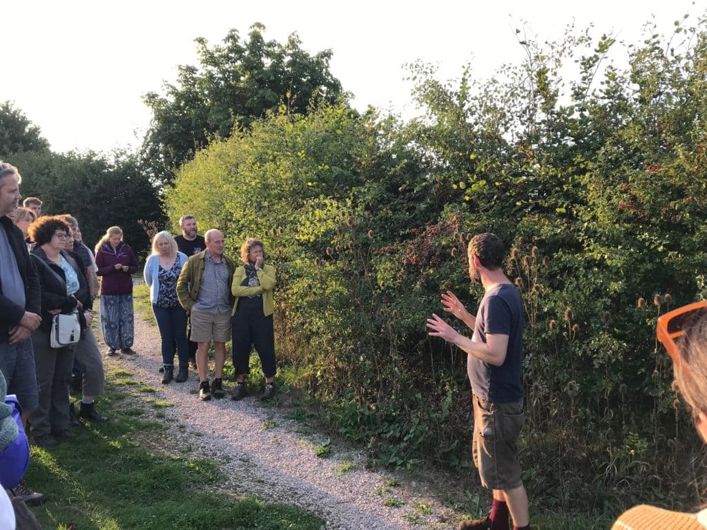 Food you can forage in a field - Wicked Leeks