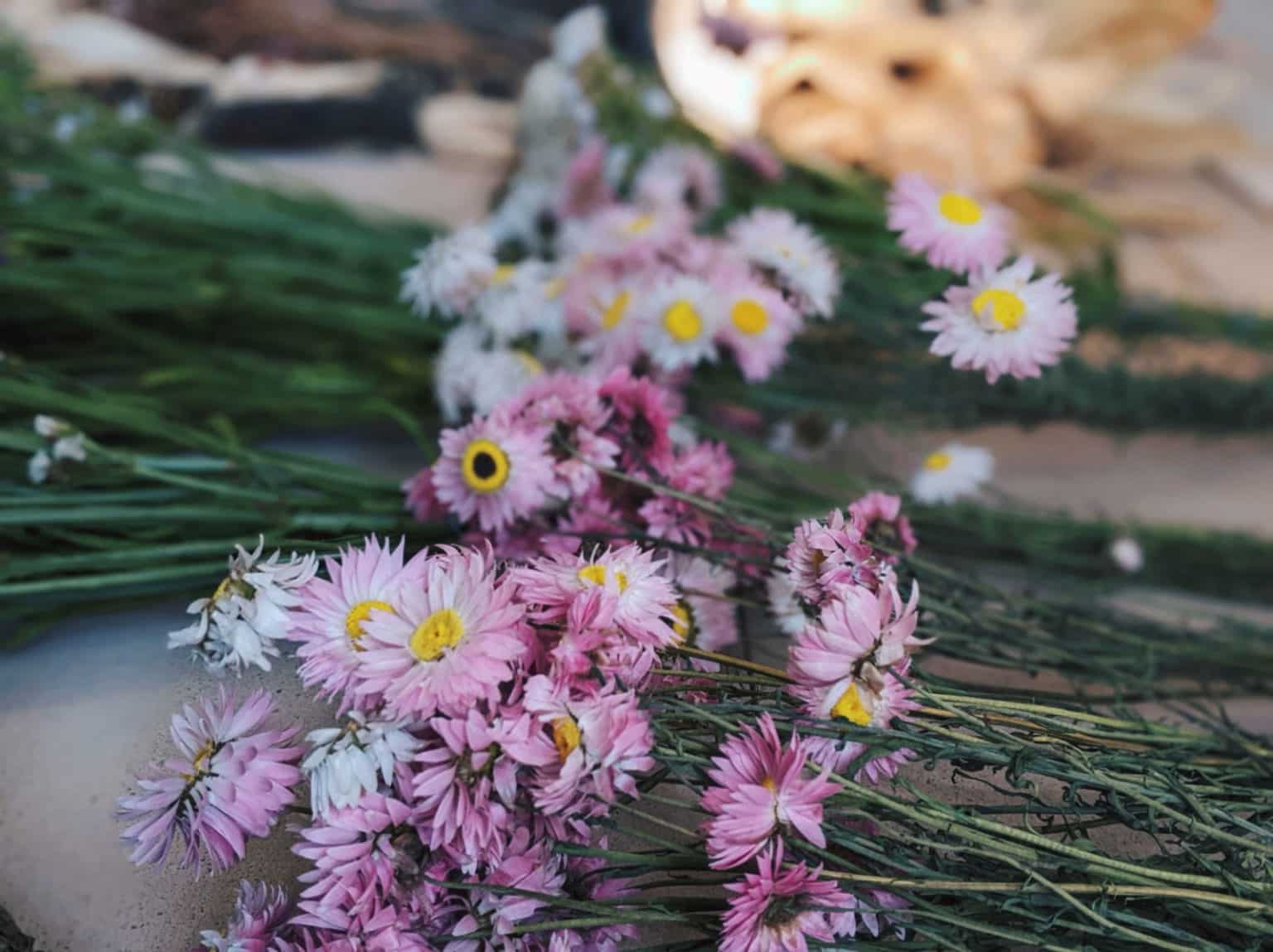 How to dry your own flowers - Wicked Leeks