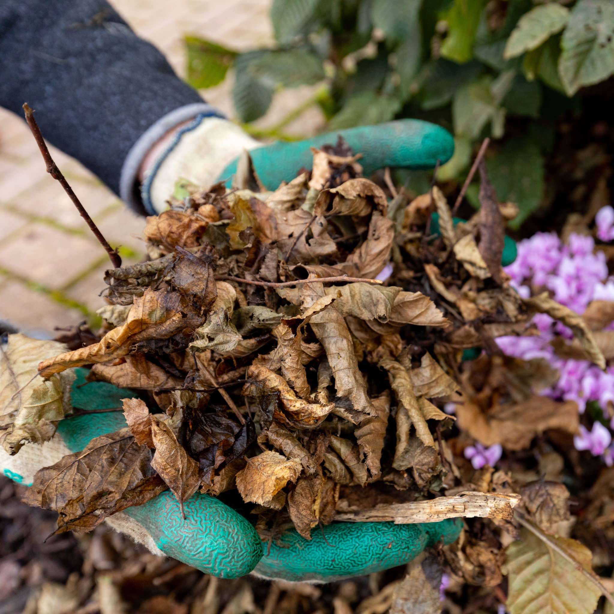 Six winter habitats for wildlife - Wicked Leeks