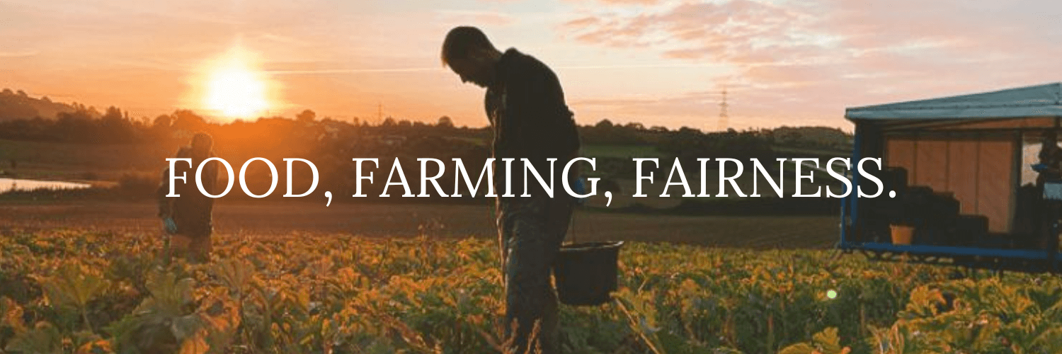 Subscribe today - Wicked Leeks