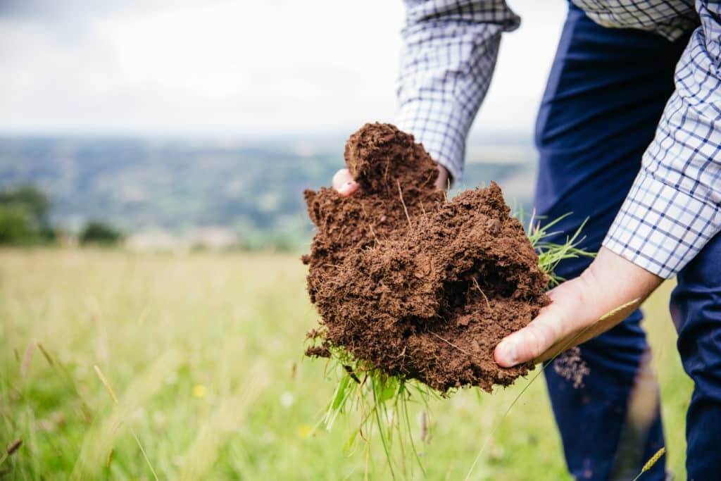 Wicked Leeks News And Views On Sustainable Food And Ethical Business