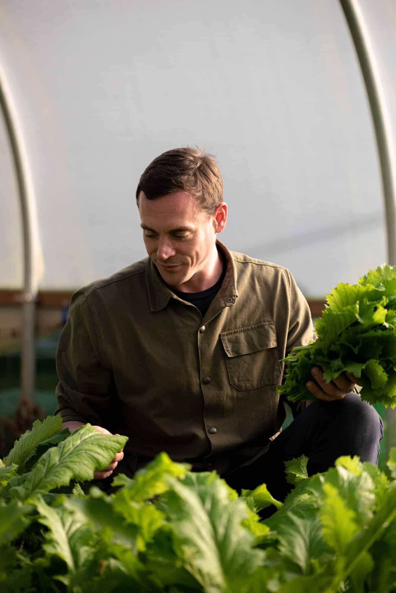 Farm-to-table: Crocadon opens its doors - Wicked Leeks