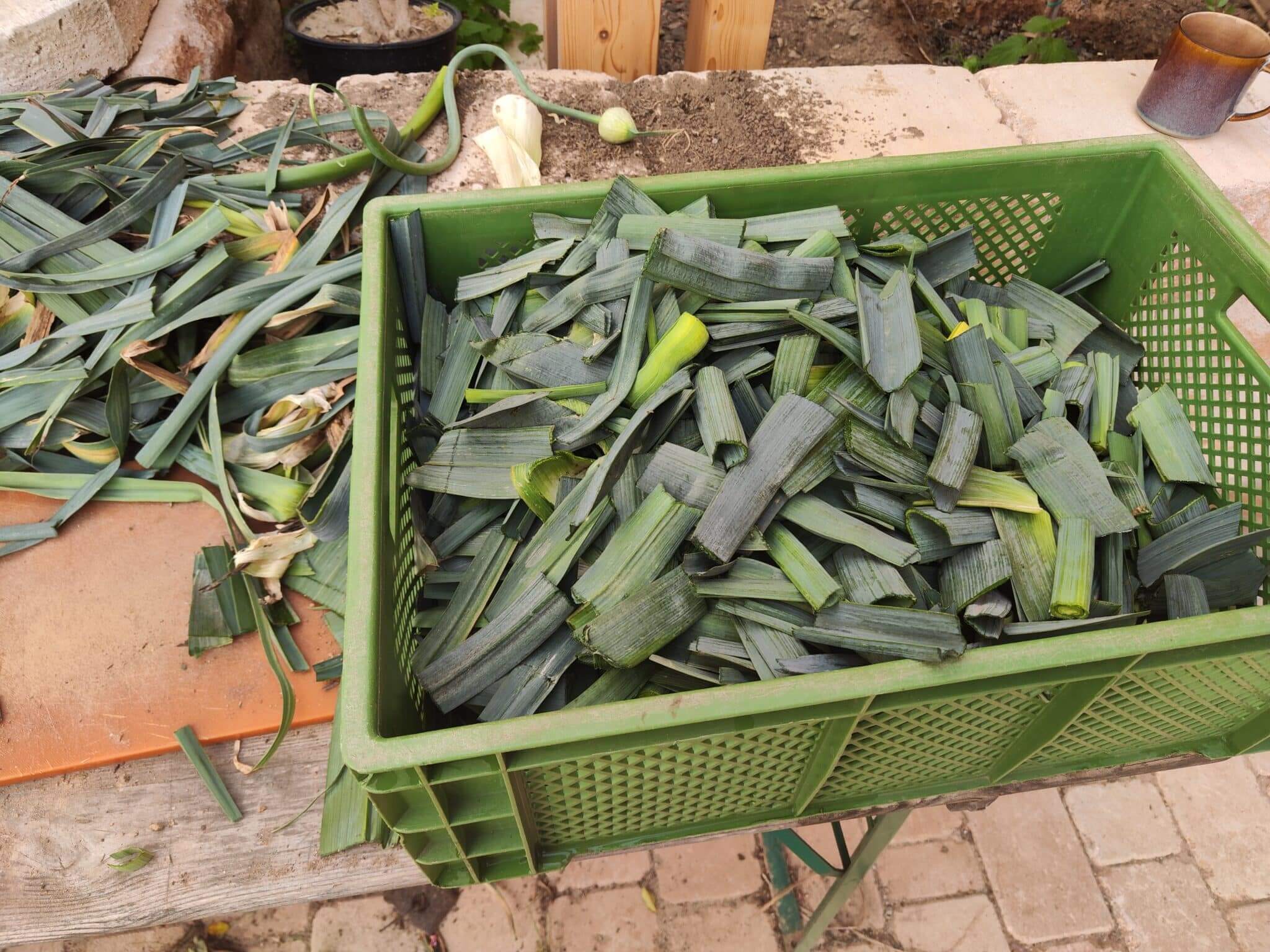 Top tips for cutting food waste - Wicked Leeks