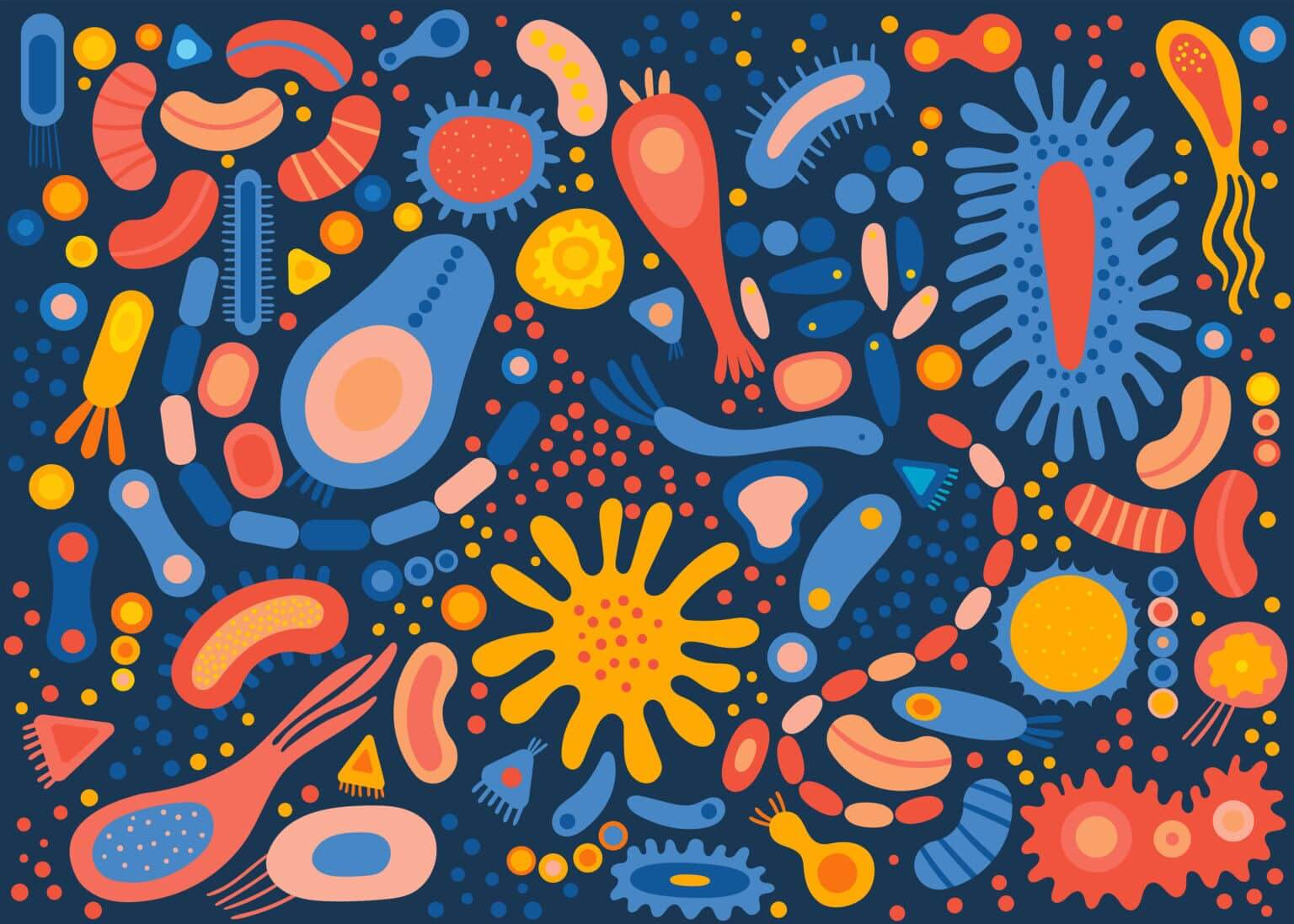 Everything you need to know about Apeel - Wicked Leeks