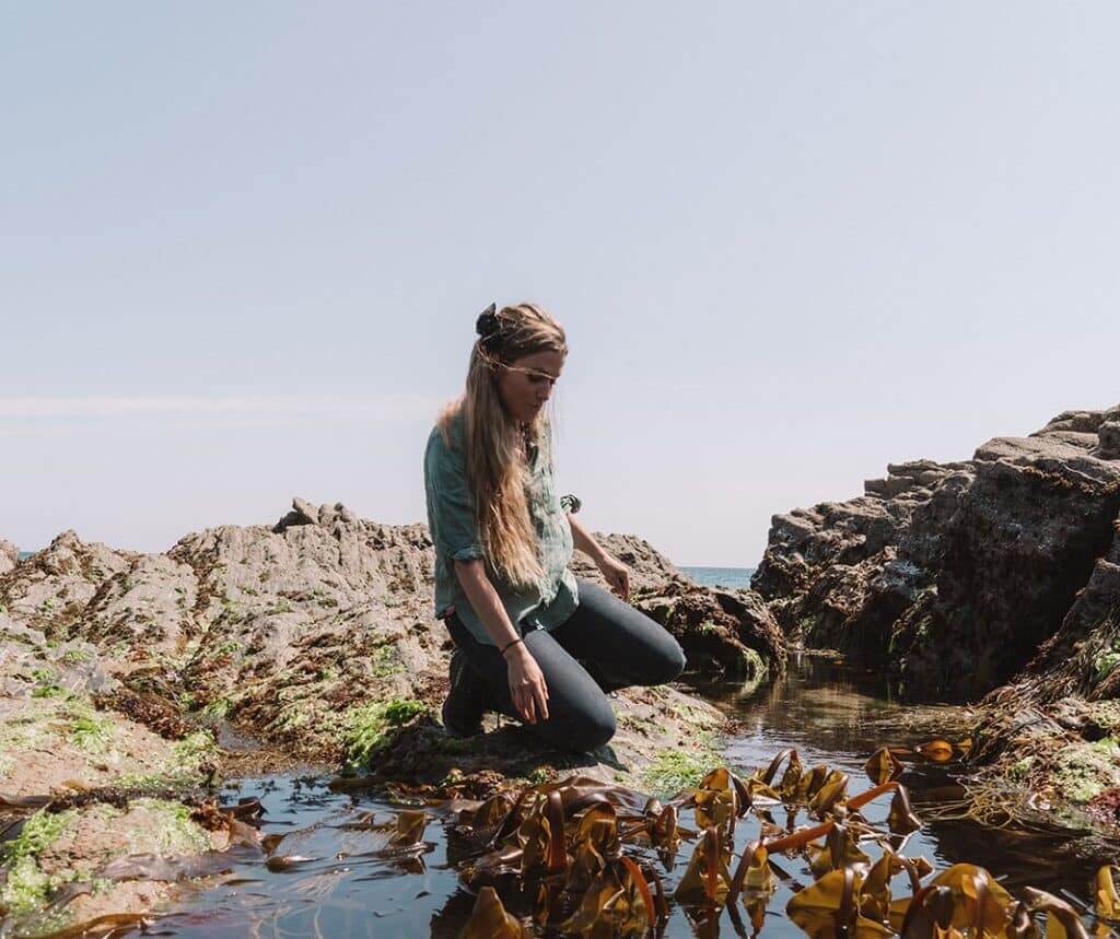 Seaweed foraging: in search of an unsung sustainable superfood - Wicked ...