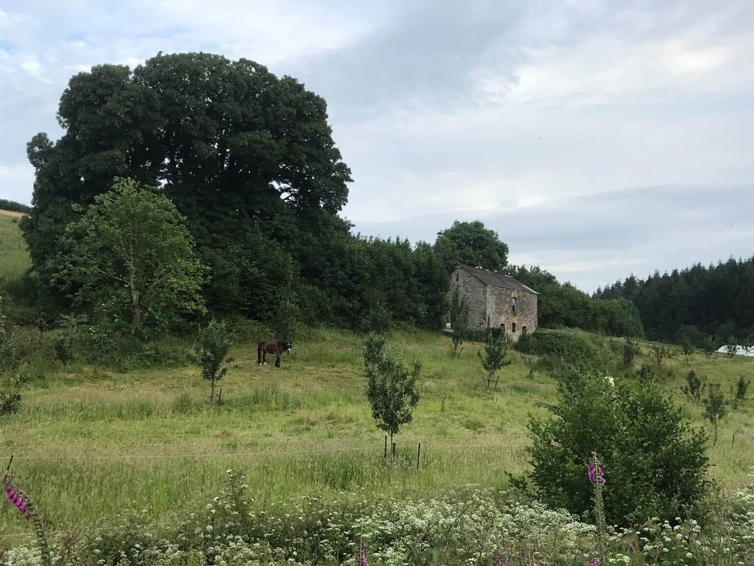 Remnants of farming’s golden age - Wicked Leeks