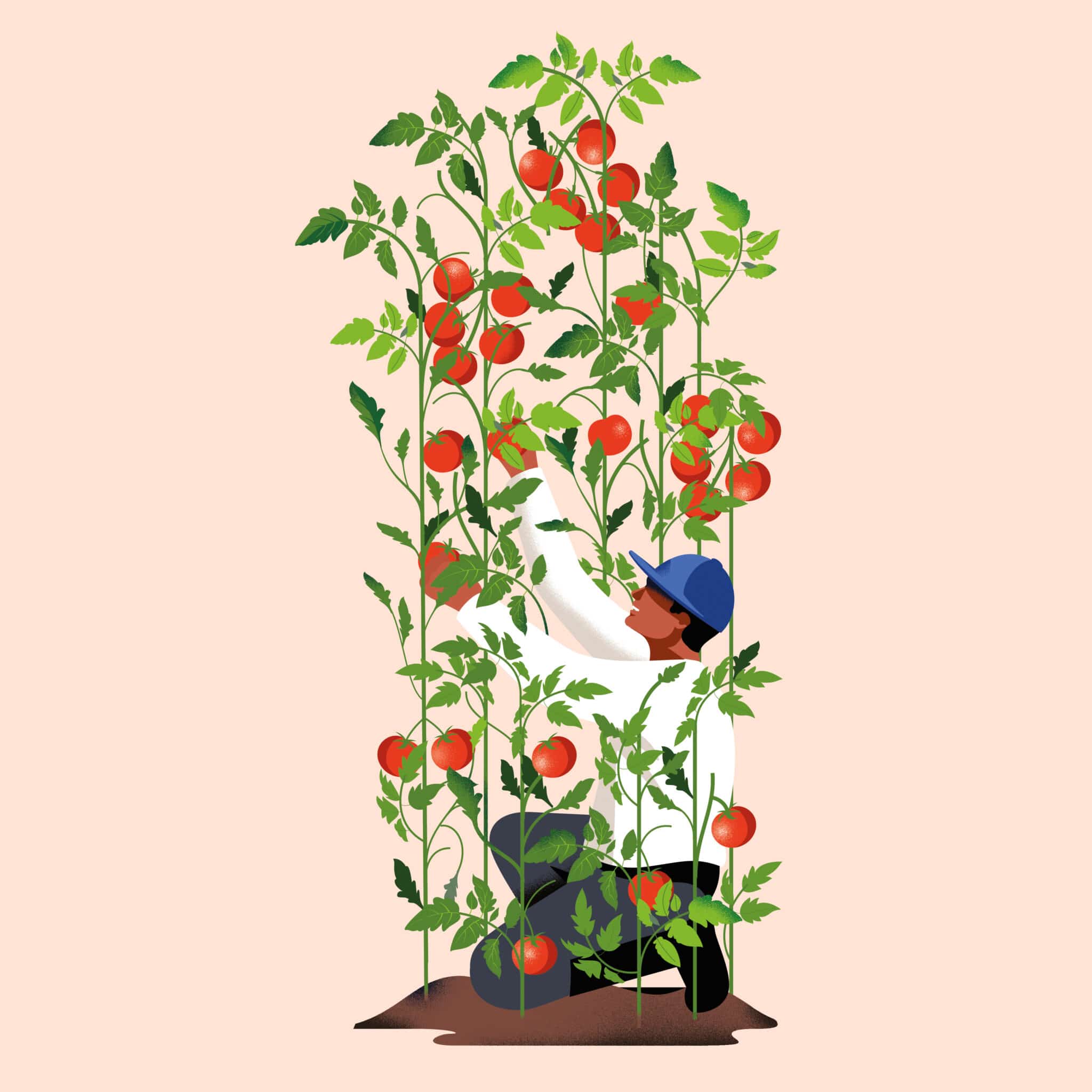 Fair enough - Wicked Leeks