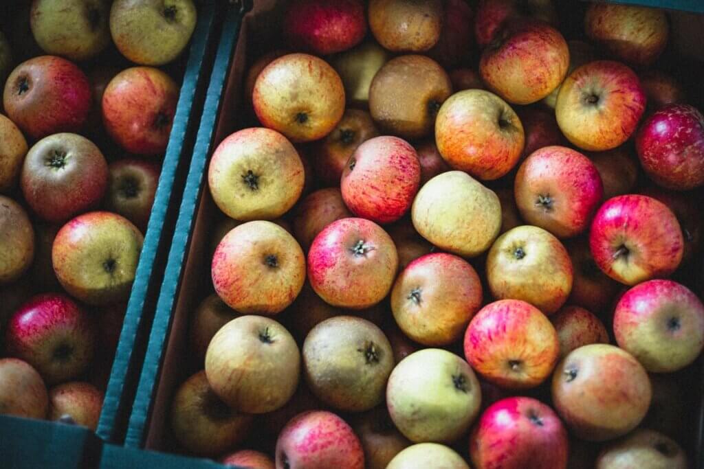 Fake Farms & Ugly Truths - Wicked Leeks