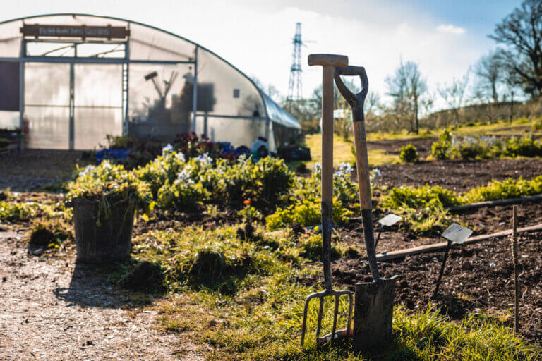 Everything you need to know about Apeel - Wicked Leeks