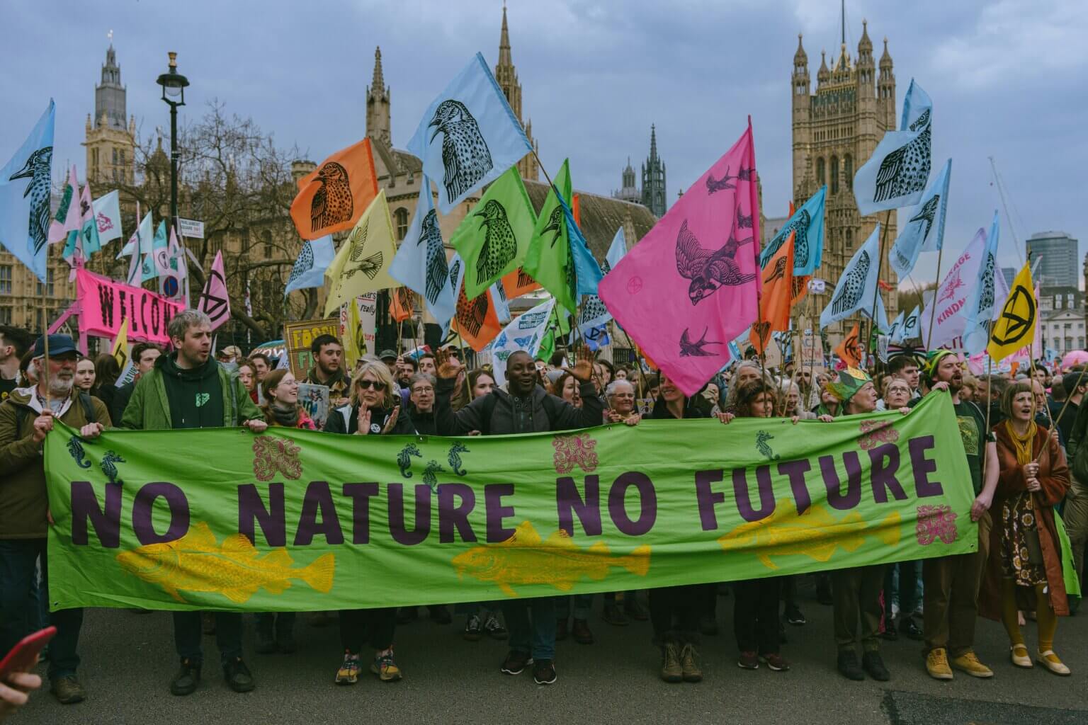 Restore Nature Now: why this march matters - Wicked Leeks
