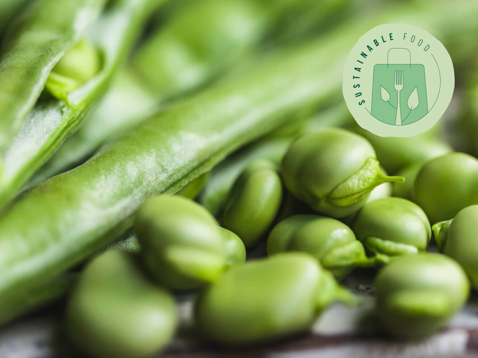 WL Sustainable Food Series: Better grains & pulses - Wicked Leeks