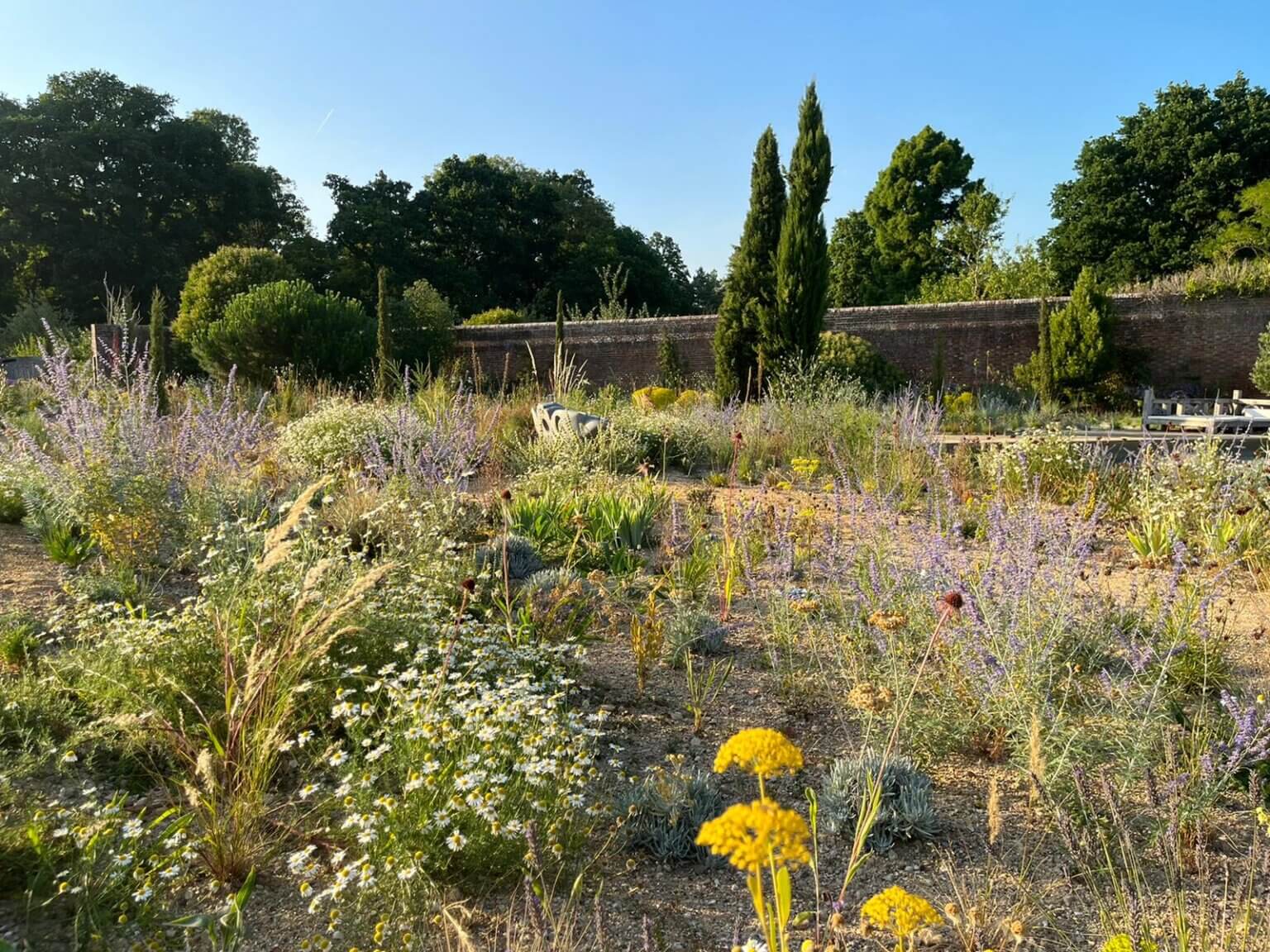 News from the farm: Rewilding the croquet lawn - Wicked Leeks