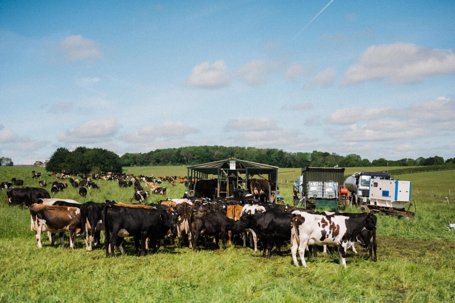 How community projects are building a brighter future for British farms ...