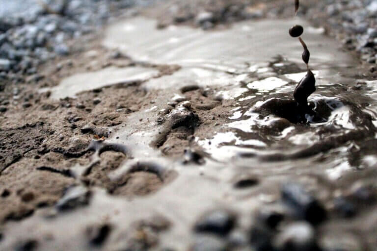 The AGtivist investigates the use of contaminated sewage sludge as ...